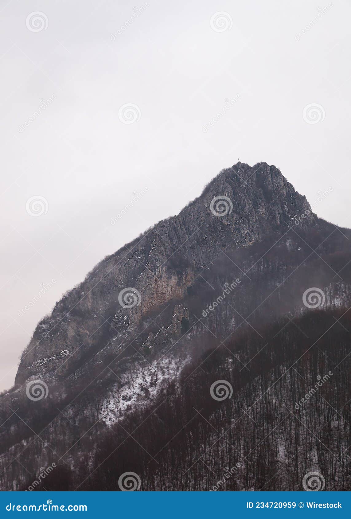 Beautiful Vertical Panoramic View of a Mountain Covered with Trees ...
