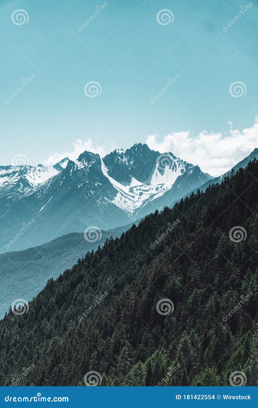 Beautiful Vertical Scenery of Forest, Mountains, and Sky Stock Photo ...