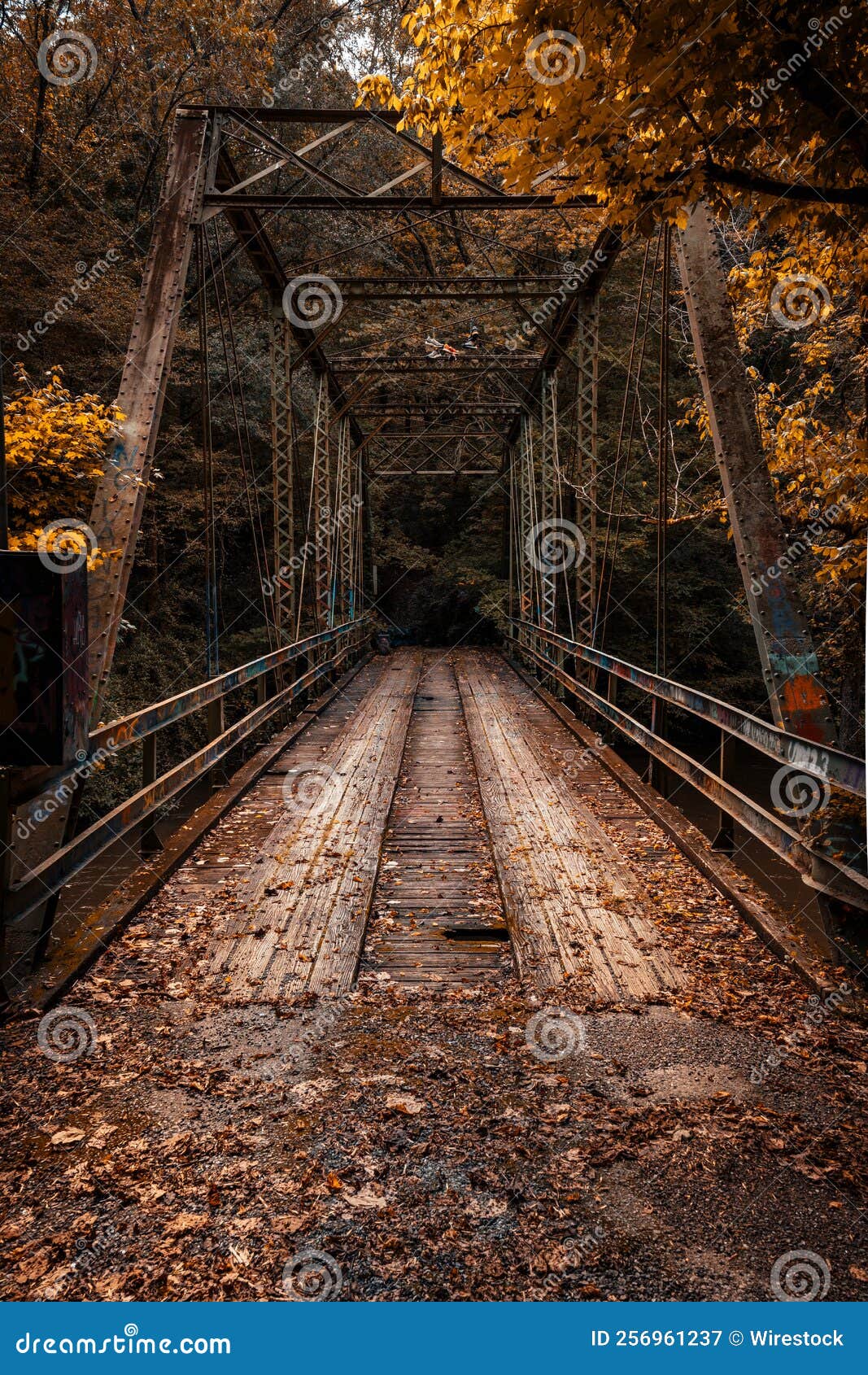 Beautiful Vertical Shot of an Iron Bridge in the Forest at Fall Stock ...