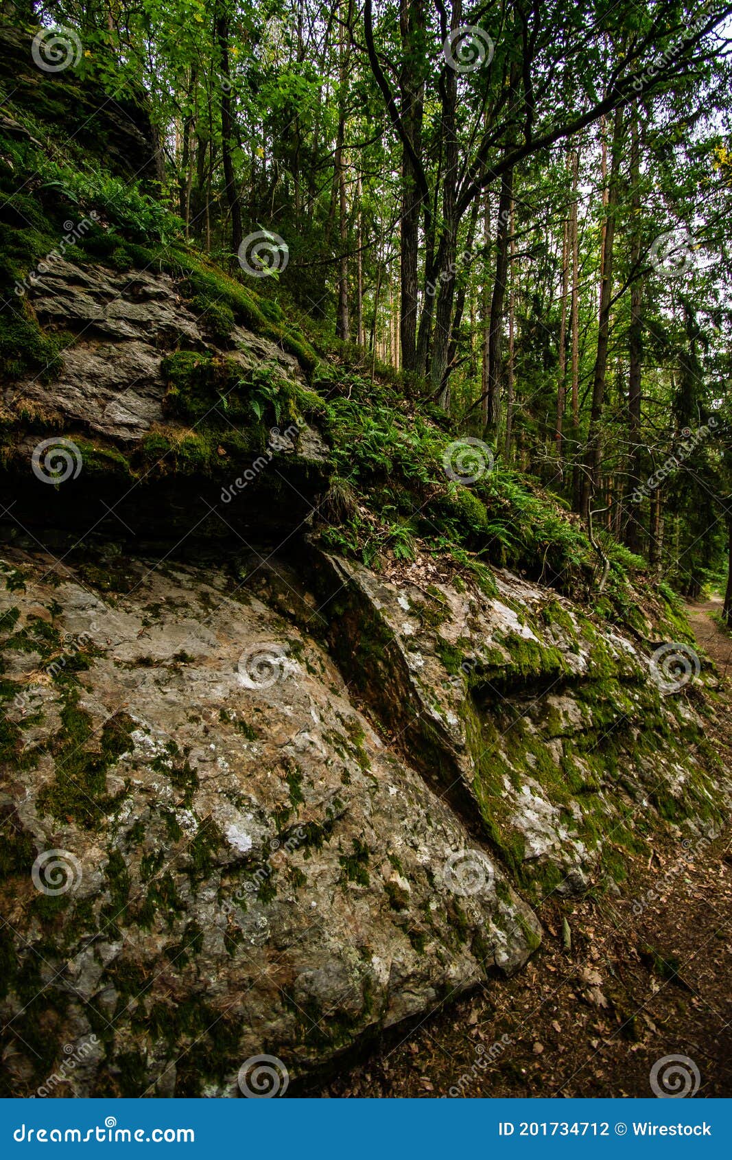 Beautiful Vertical Shot of the Thuringian Forest Scenery Stock Photo ...