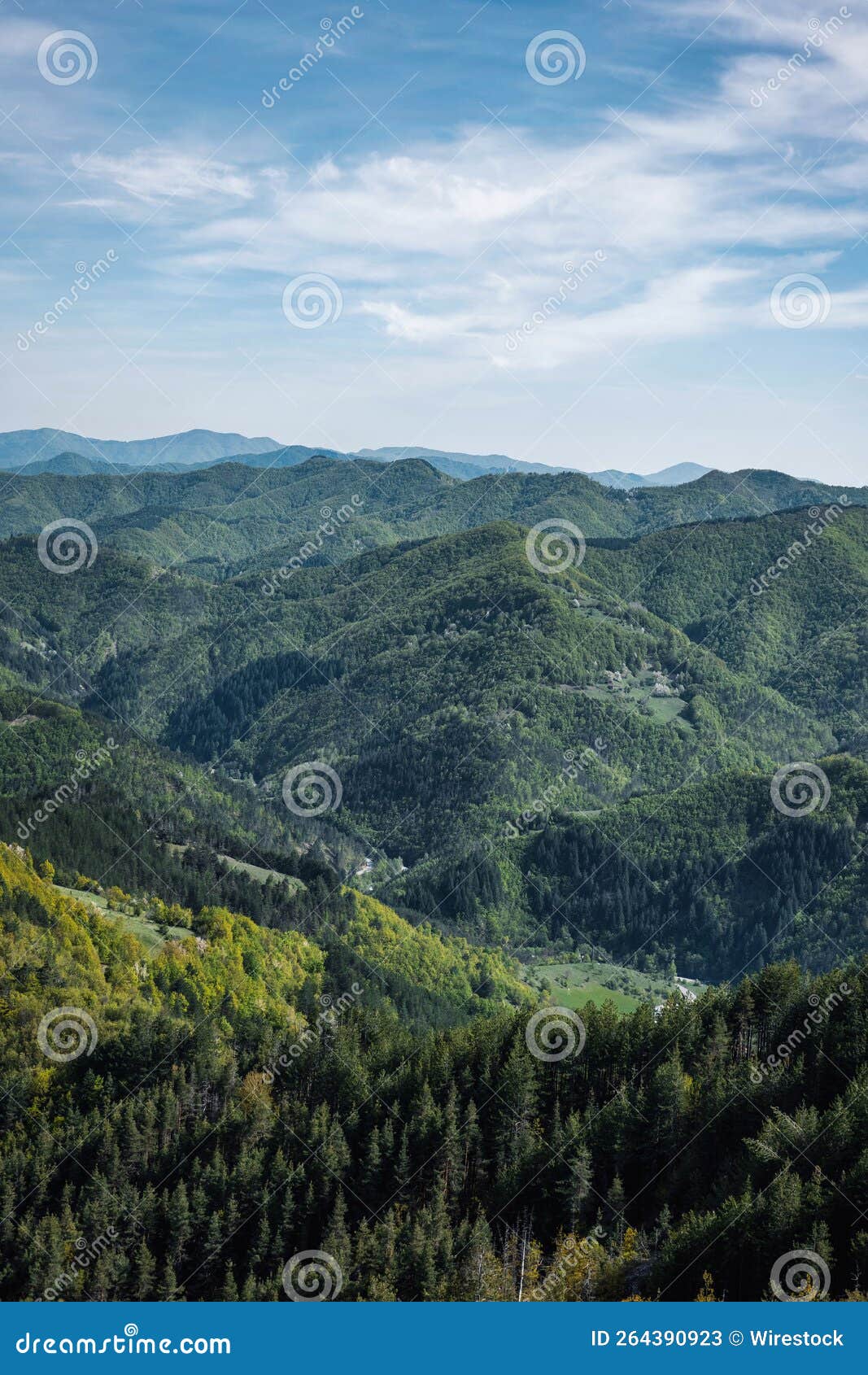 Beautiful Vertical View of Hills with Green Trees Under the Blue Sky ...