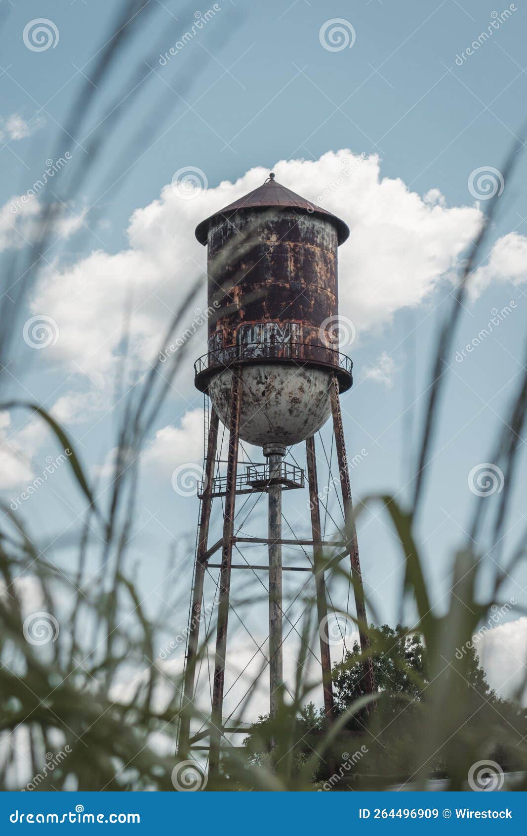 Beautiful Vertical View of a Rusty Water Tower in a Field Stock Image ...