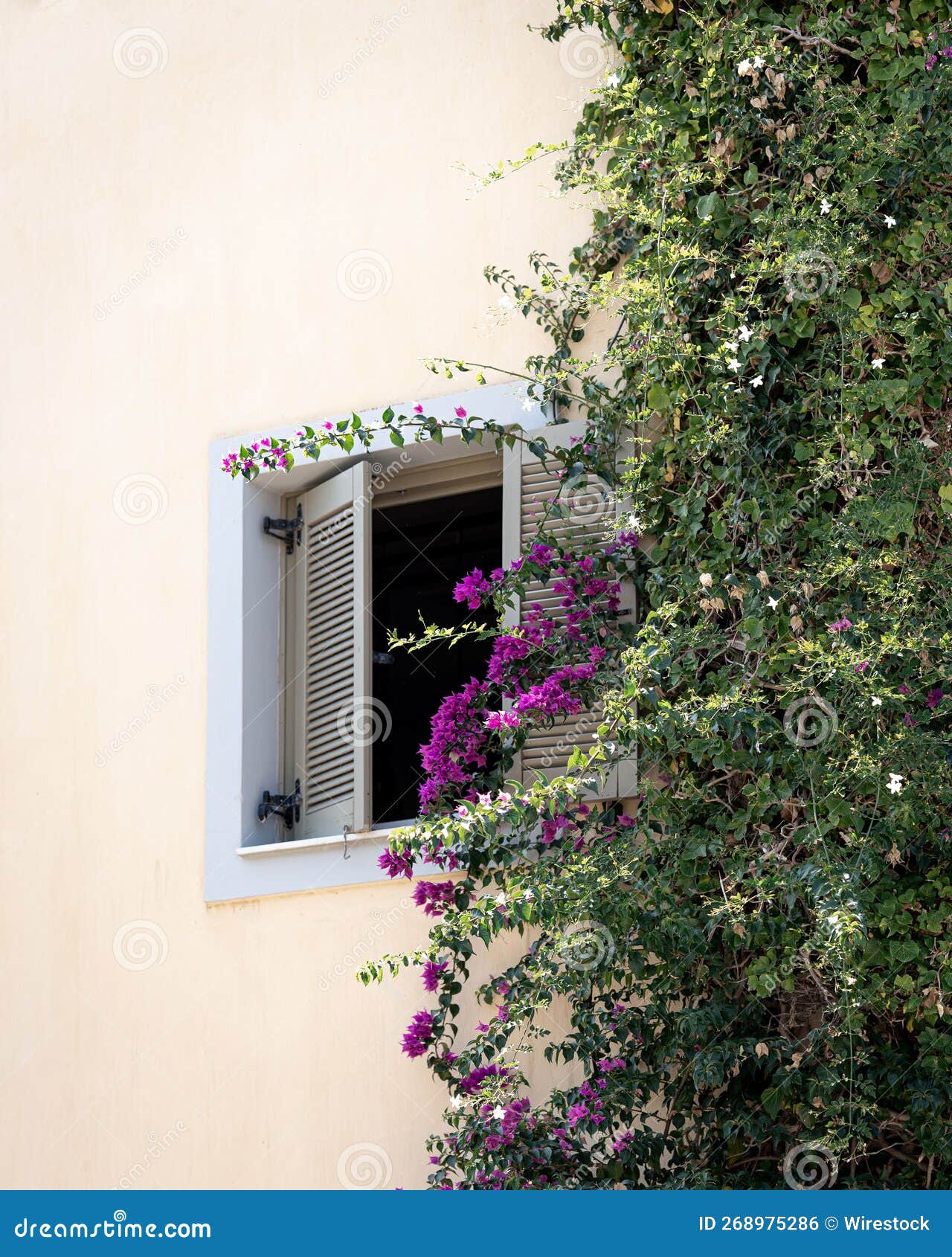 Beautiful Vertical View of a Small Window and Branches on a Wall Stock ...