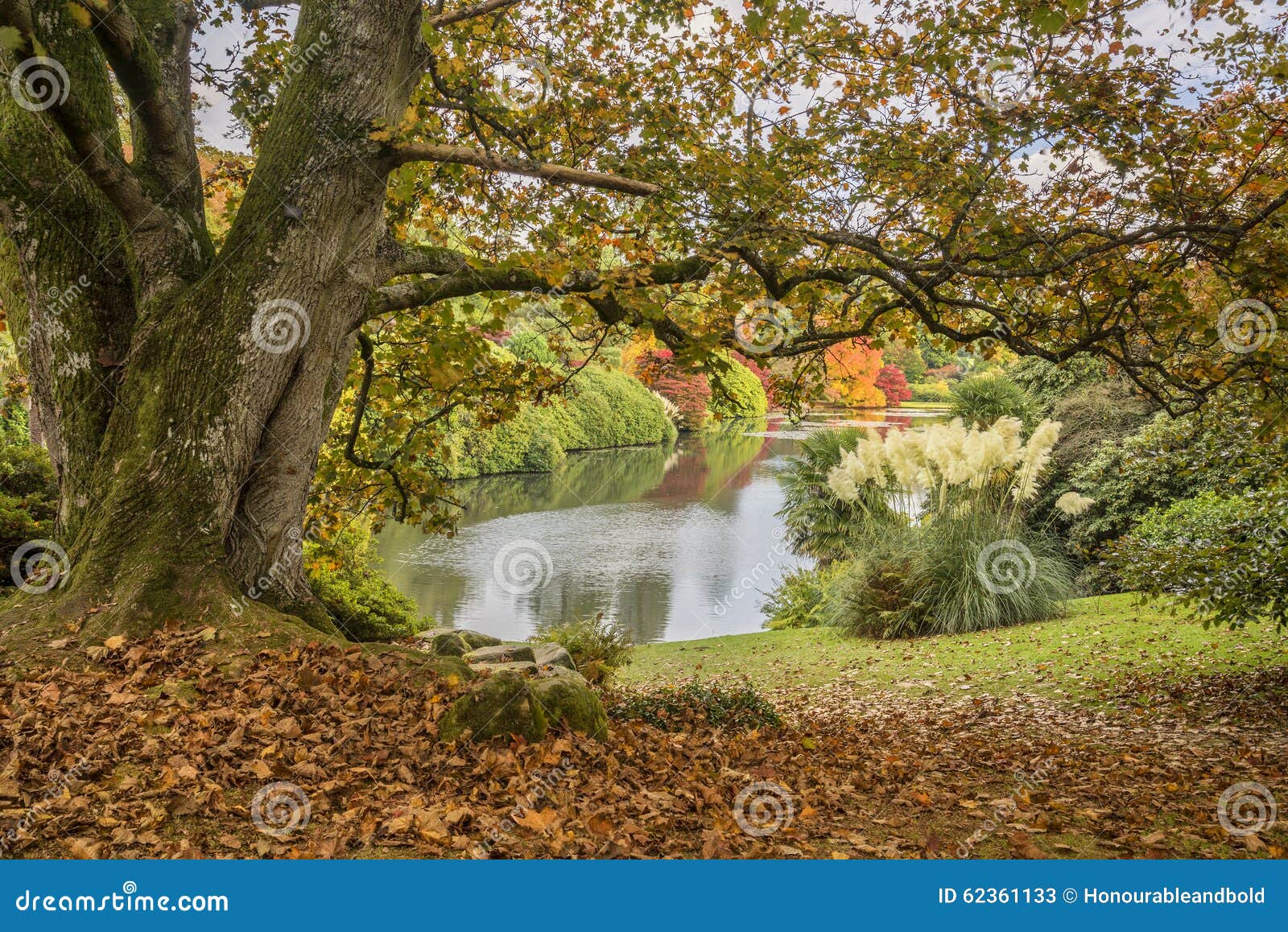 Beautiful Vibrant Autumn Fall Landscape Overlooking Lake Stock Image ...