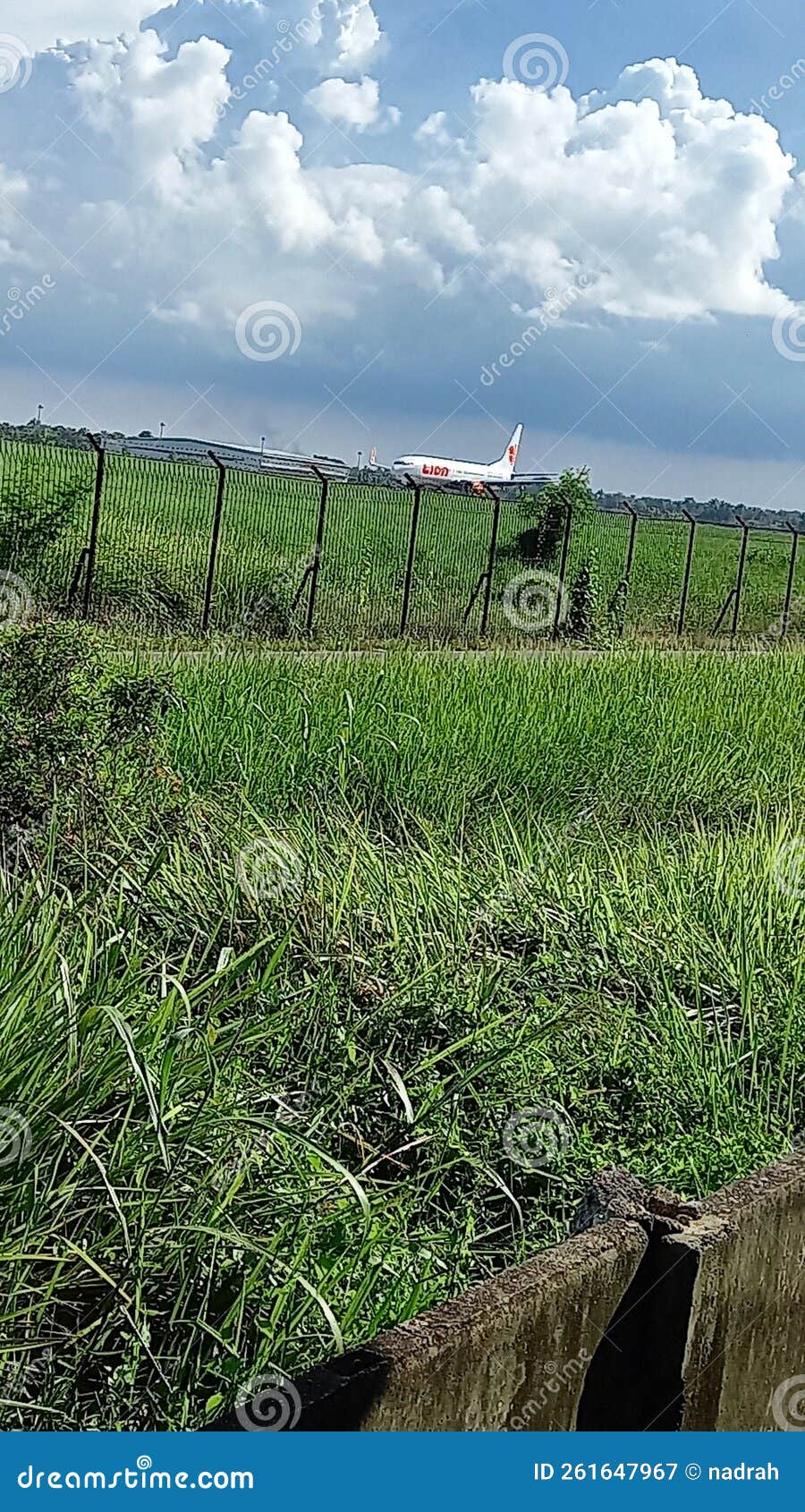 Beautiful View of the Airstrip before Takeoff Editorial Photography ...