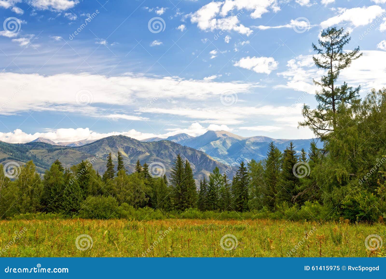 Beautiful View in the Altai Mountains, Russia Stock Image - Image of ...