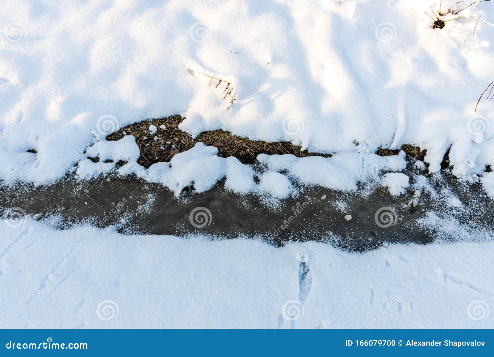 Beautiful View Background of Snow in Winter. Stream in Winter Forest ...