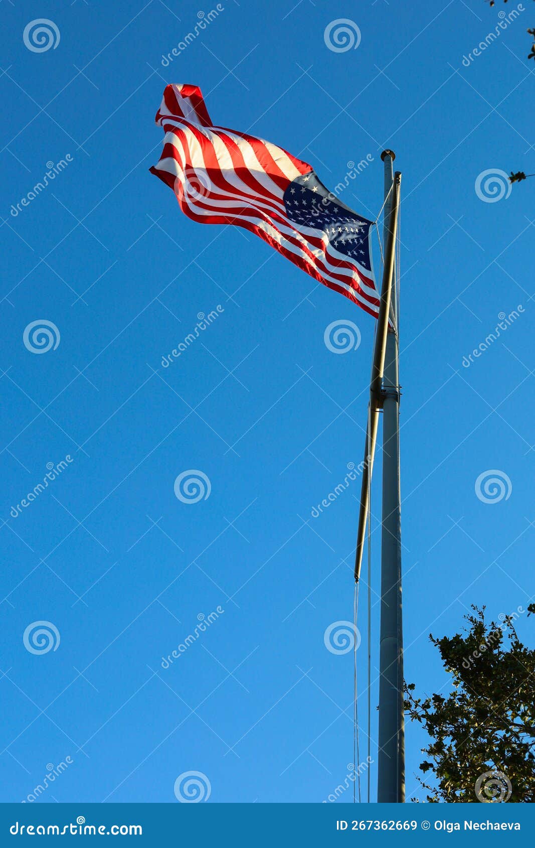 Beautiful View from Below of the American Flag Stock Image - Image of ...