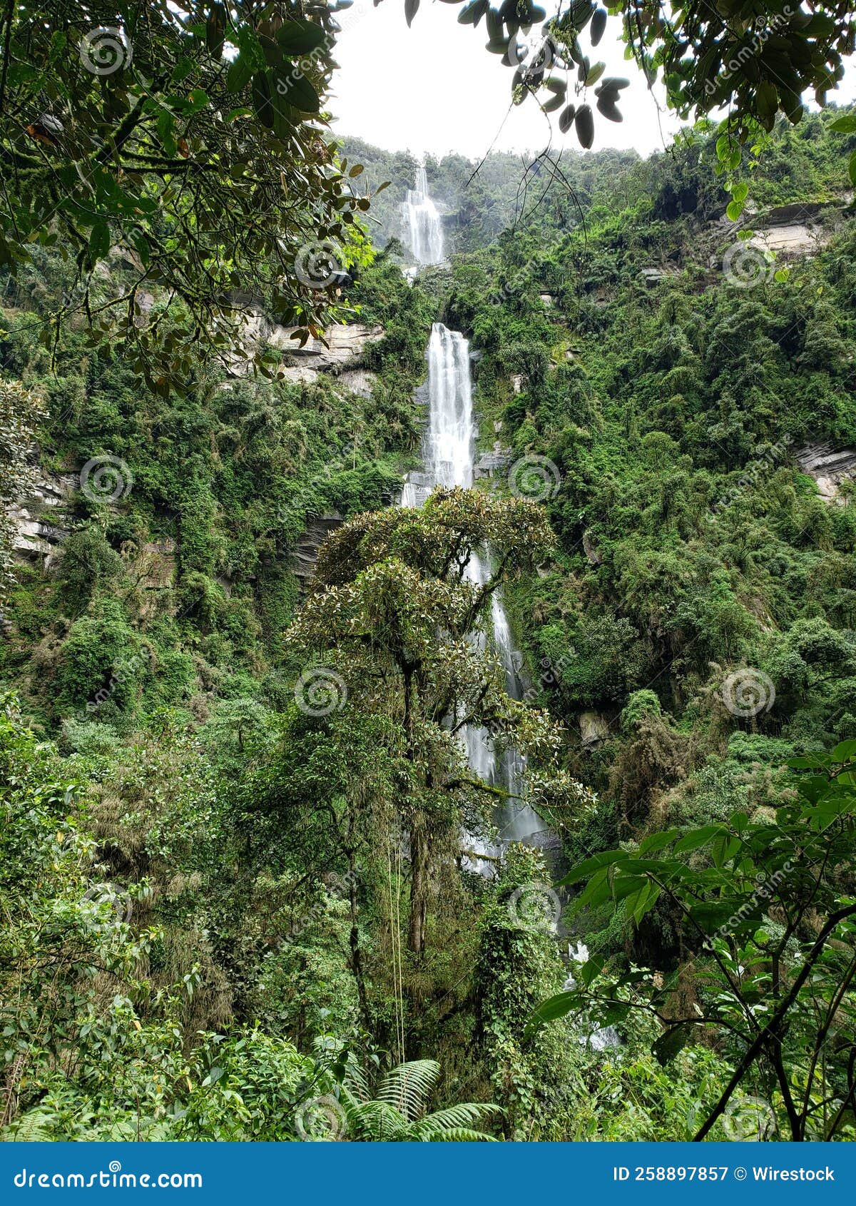 Beautiful View of a Big Waterfall with Green Trees in a Forest Stock ...