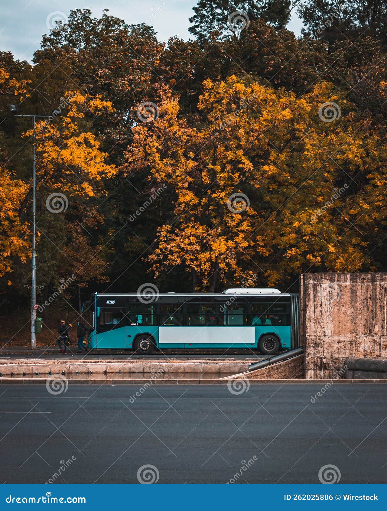 Beautiful View of a Blue Bus on the Street Stock Photo - Image of ...