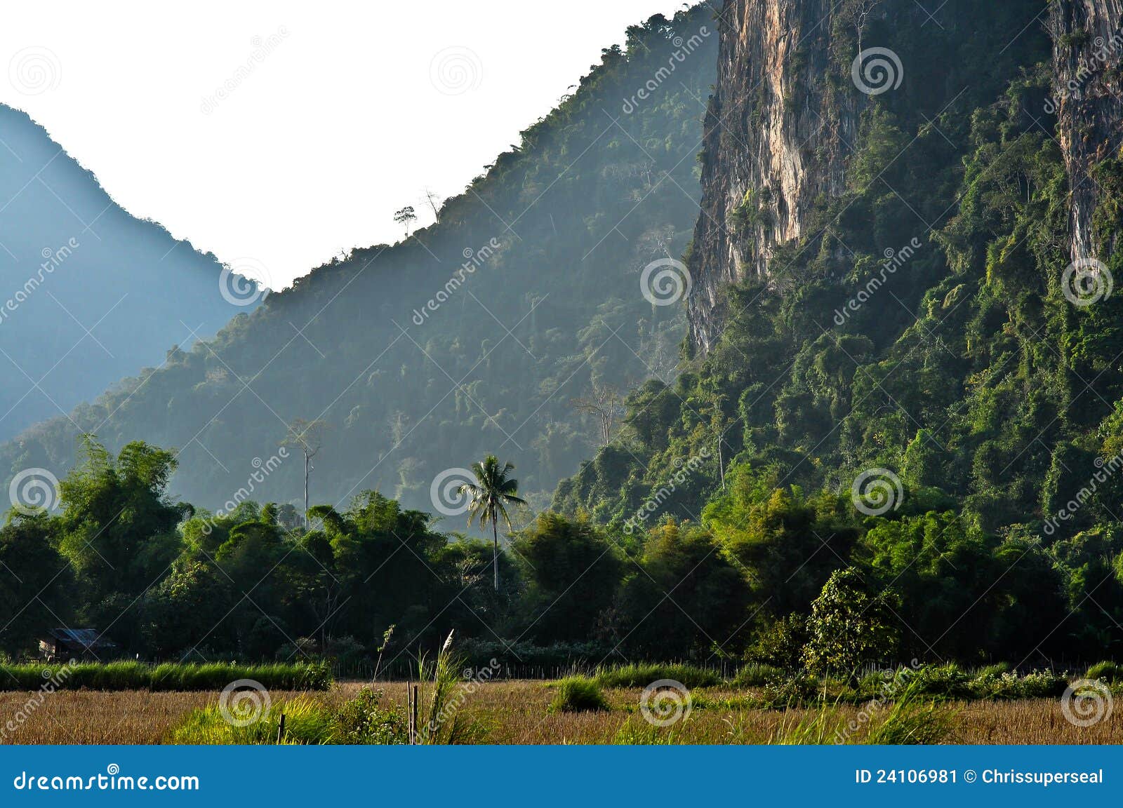 Beautiful View from the Bottom of a Cliff Face Stock Image - Image of ...