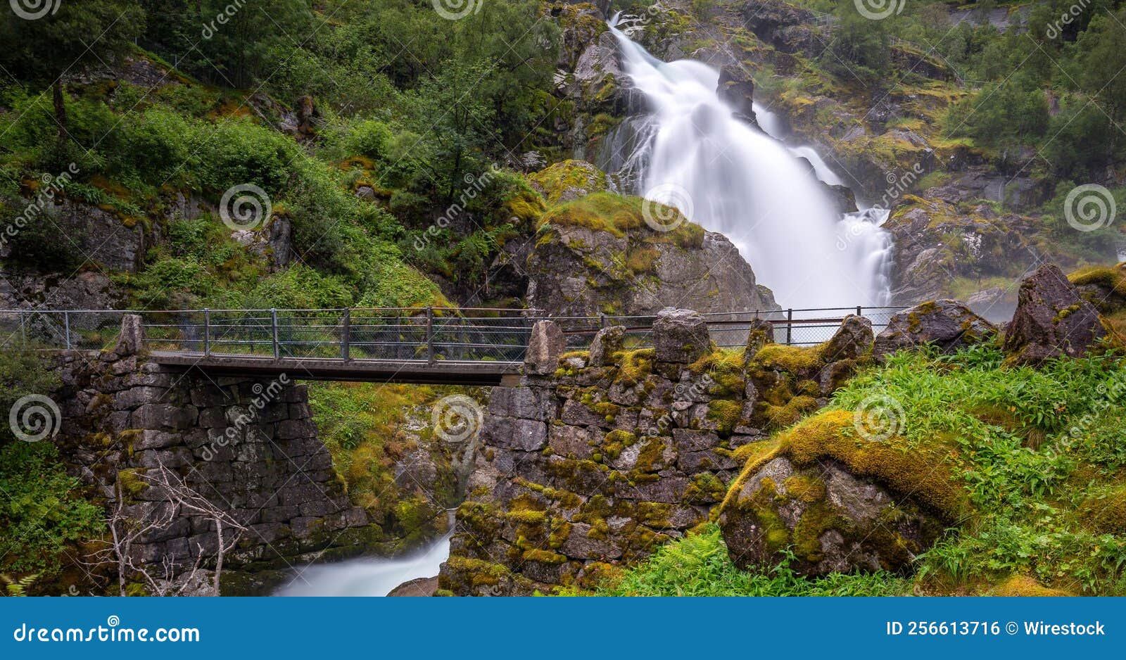 Beautiful View of a Bridge in a Forest with Trees and Waterfall Stock ...
