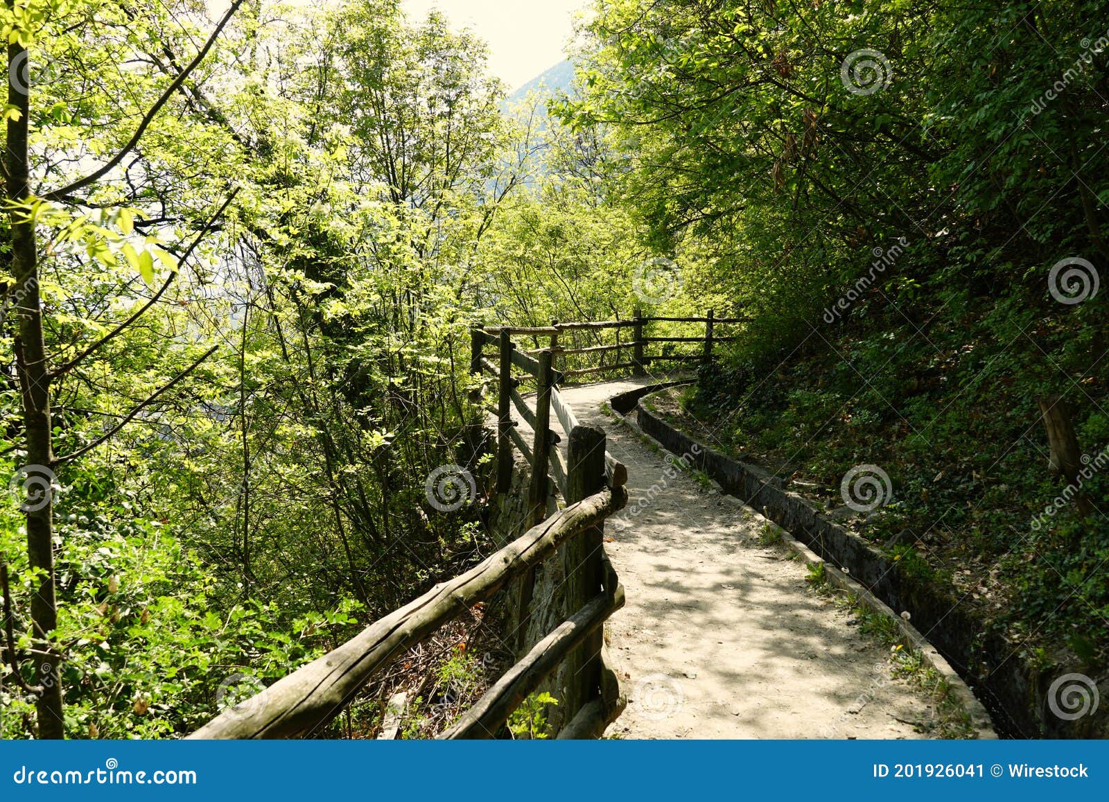 Beautiful View of a Bridge through the Woods Stock Image - Image of ...