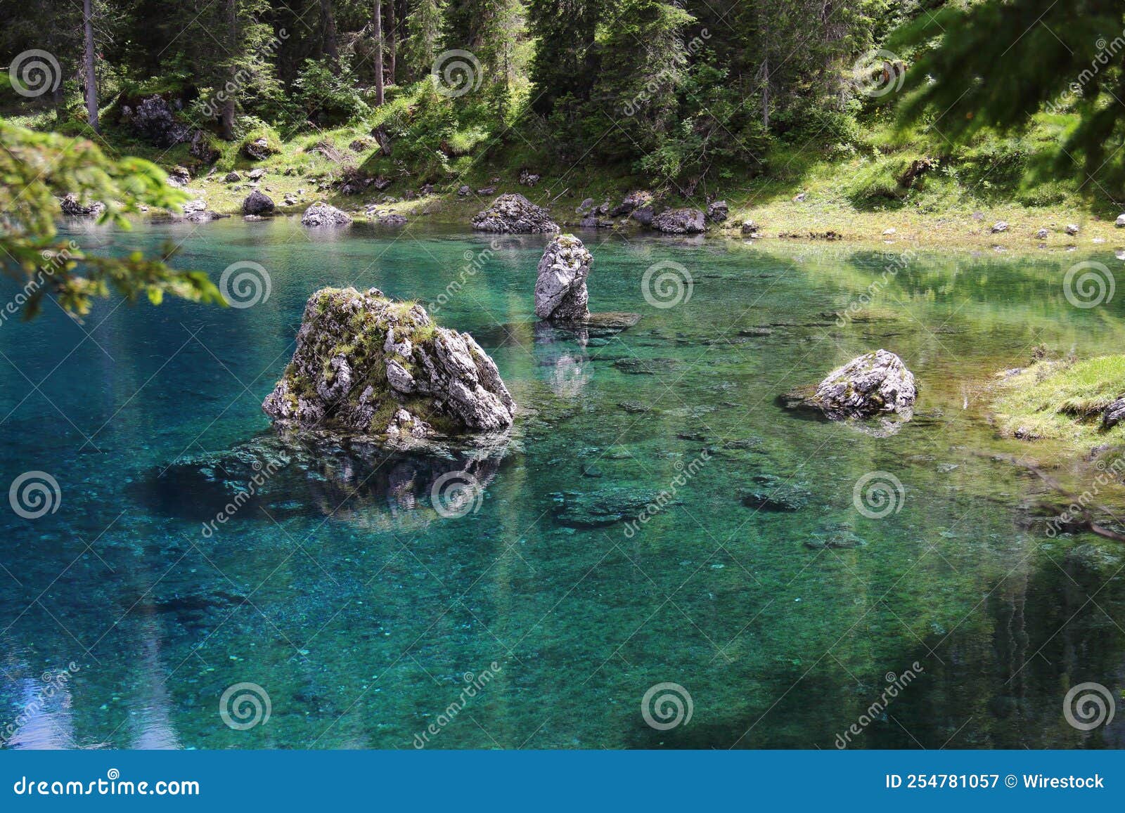 Beautiful View of the Calm Lake with Reflection of Trees in the Water ...