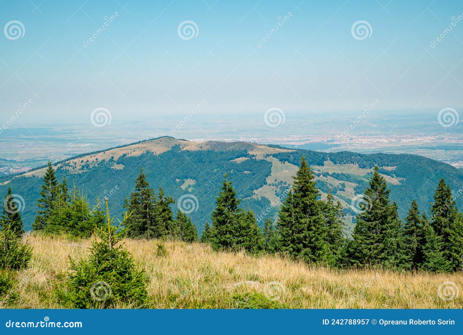 Cindrel mountains, Romania stock image. Image of panorama - 242788957