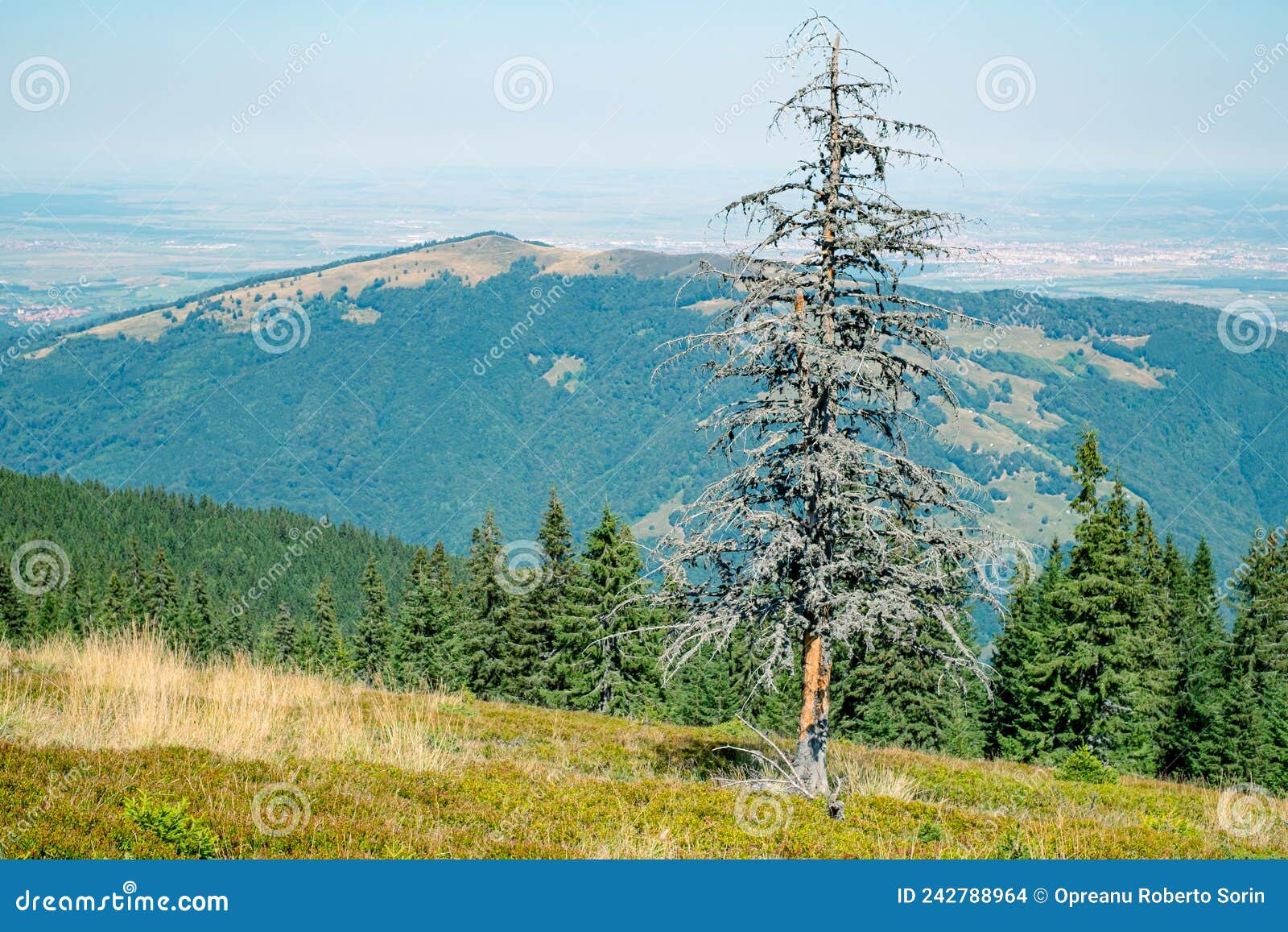 Beautiful View from Cindrel Mountains Stock Photo - Image of overcast ...