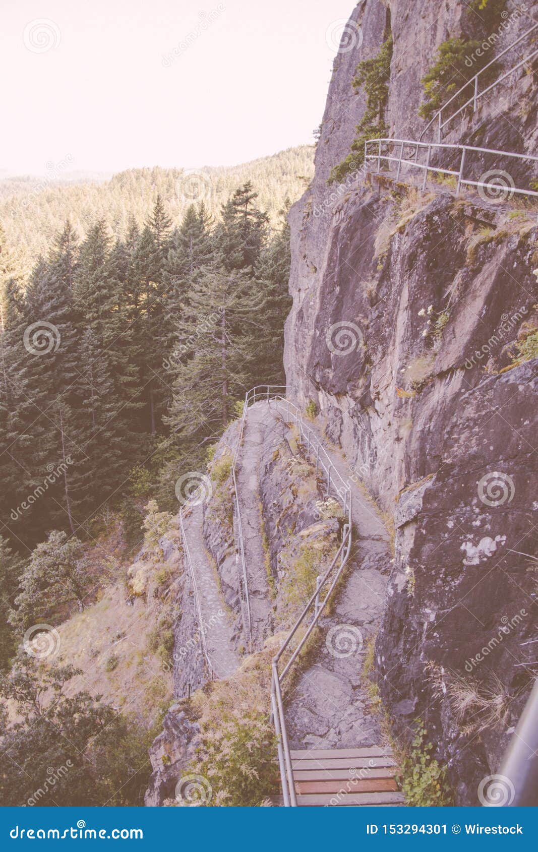 Beautiful View of the Cliffside and a Forest with a Narrow Pathway on ...