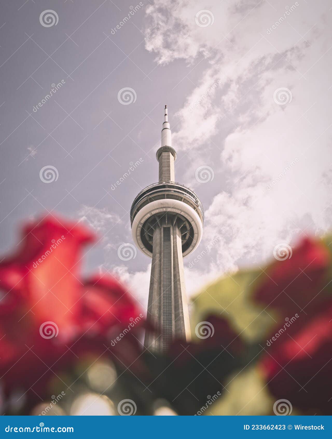 Beautiful View of the CN Tower, Roundhouse Park, Toronto, Canada ...