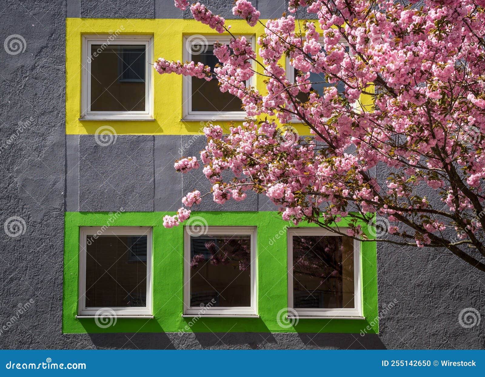 Beautiful View of Colorful Windows Surrounded with the Leaves of the ...