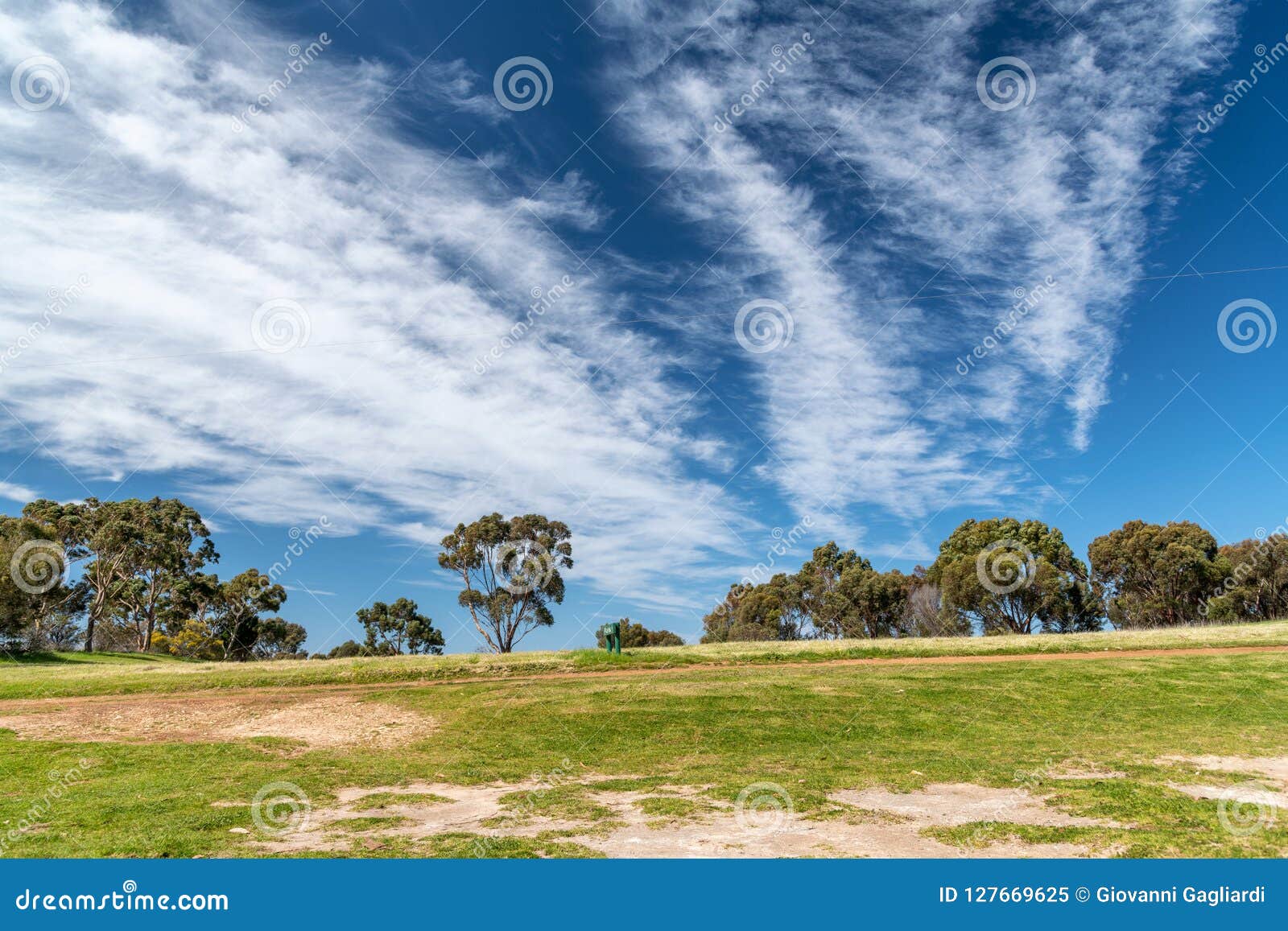 Beautiful View of Countryside Trees with Blue Sky and Clouds Stock ...