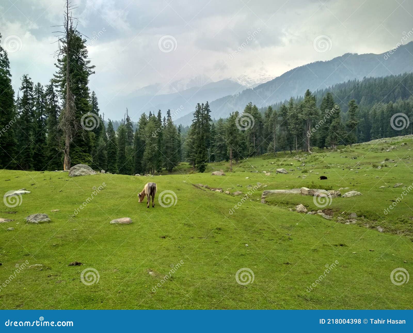 A Beautiful View of Deenu Valley Place in Kashmir India. Stock Photo ...