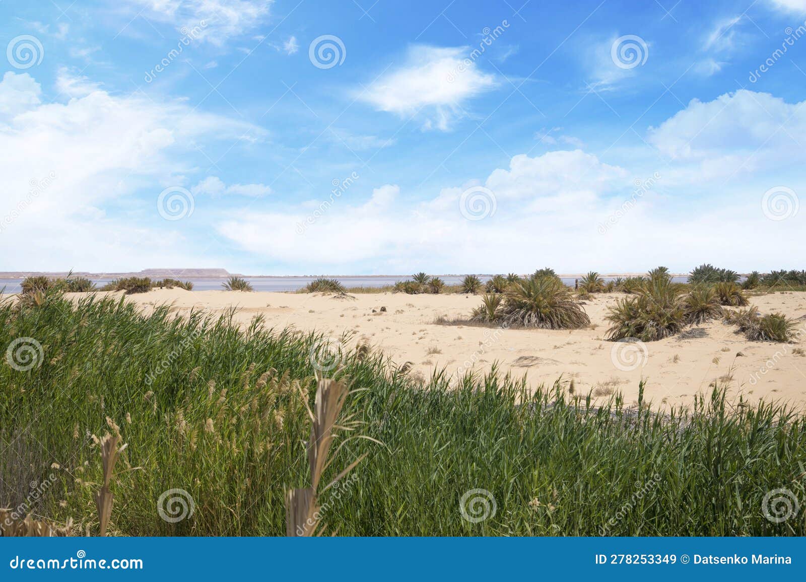 Beautiful View of the Desert in Siwa Oasis Stock Image - Image of sight ...