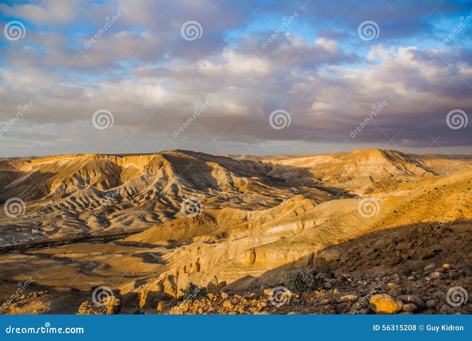 Beautiful view of desert stock photo. Image of highland - 56315208