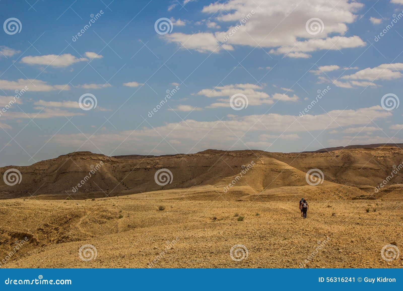 Beautiful view of desert stock image. Image of desert - 56316241
