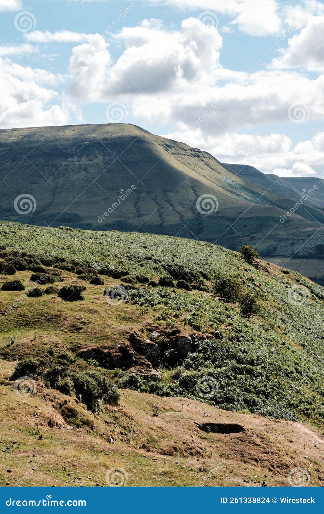 Beautiful View of Empty Fields in the Countryside with Thick Trees and ...