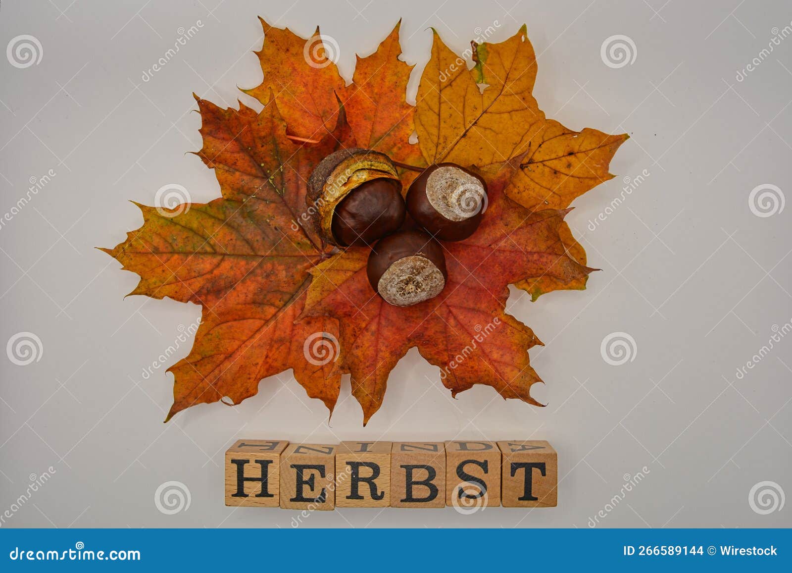 Beautiful View of a Fall Foliage Leaf and Word Herbst with Cubes on ...