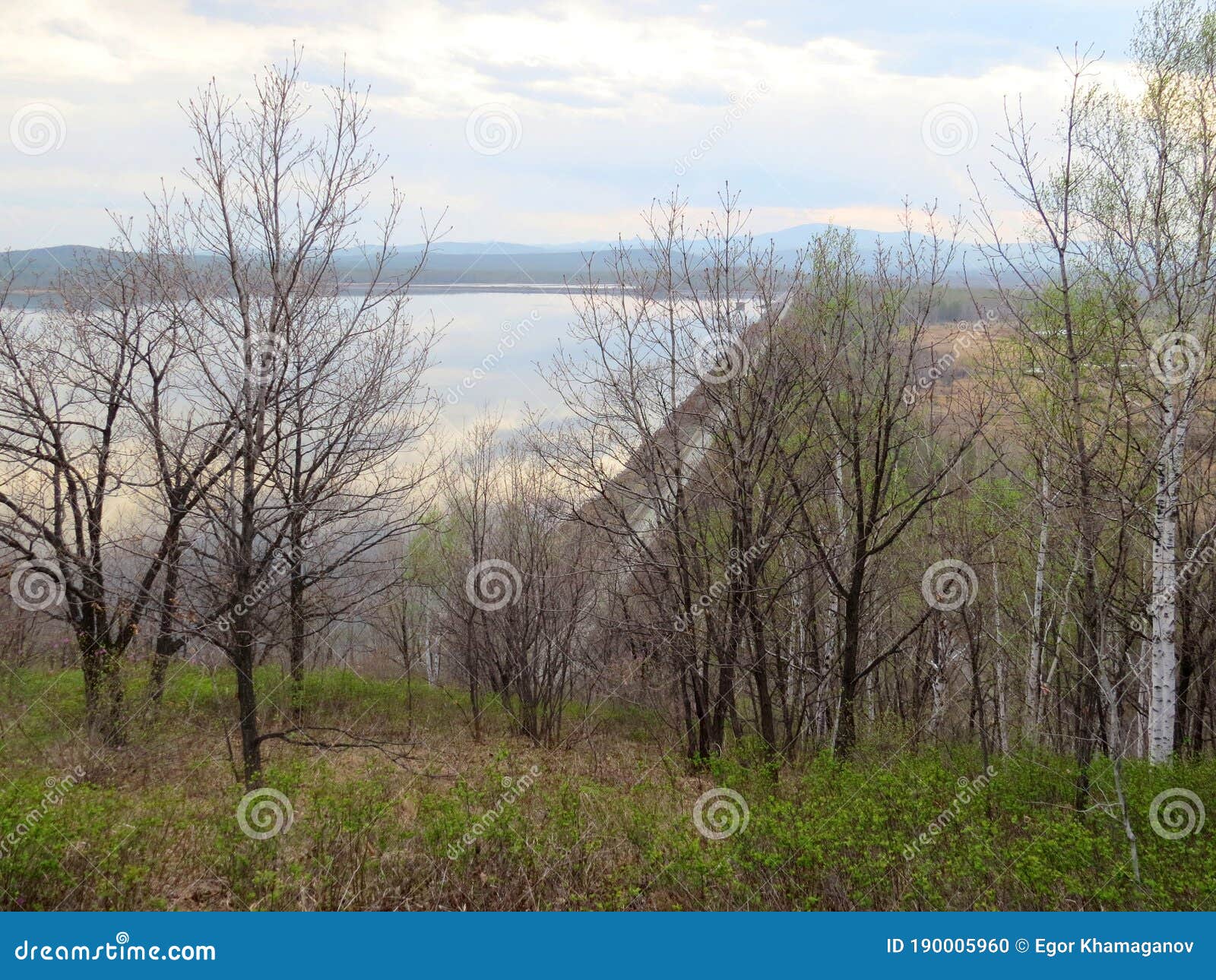 Beautiful View of the Far Eastern Nature, Forest and Sky. Stock Photo ...