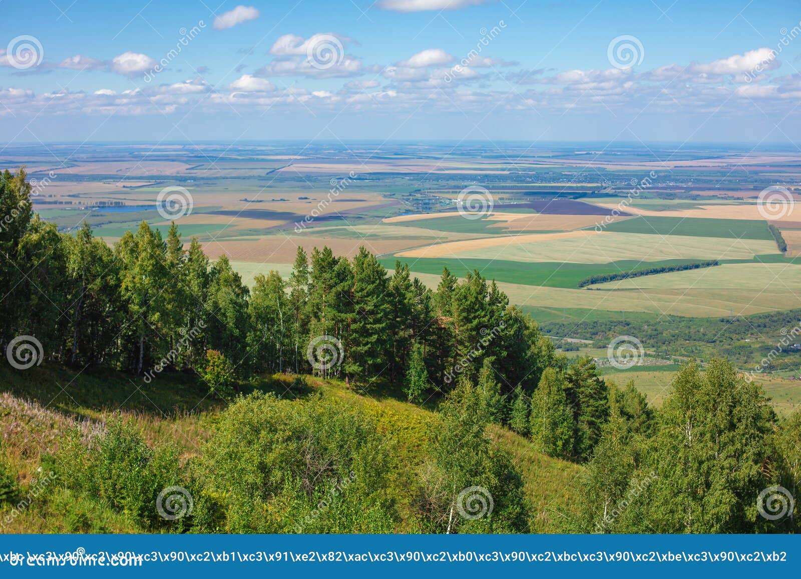 Beautiful View of the Fields from a High Altitude. Beautiful Panoramic ...