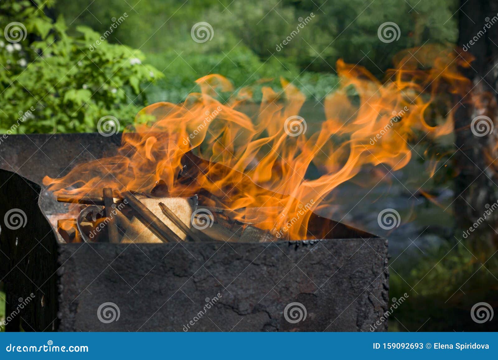 Fire Burning Bright Flame on a Dark Background Stock Image - Image of ...