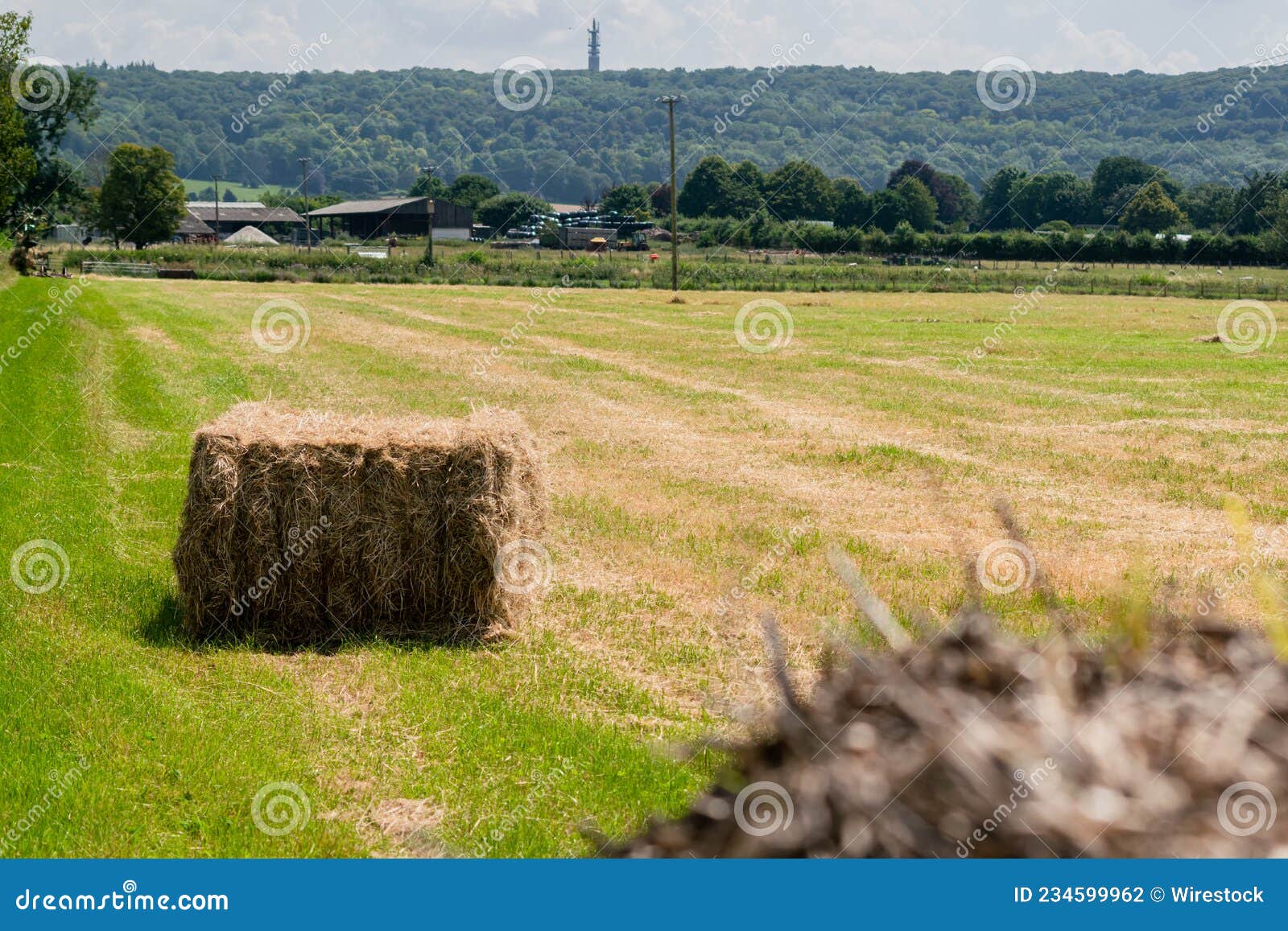 Beautiful View of the Fodder and Fields Stock Photo - Image of rural ...