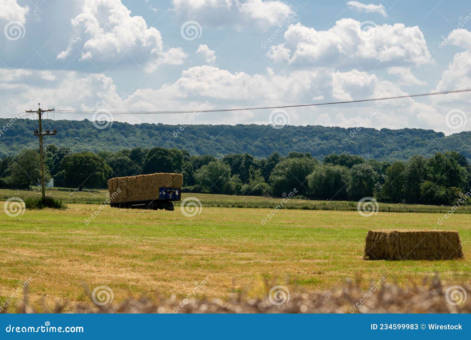 Beautiful View of the Fodder and Fields Stock Image - Image of ...
