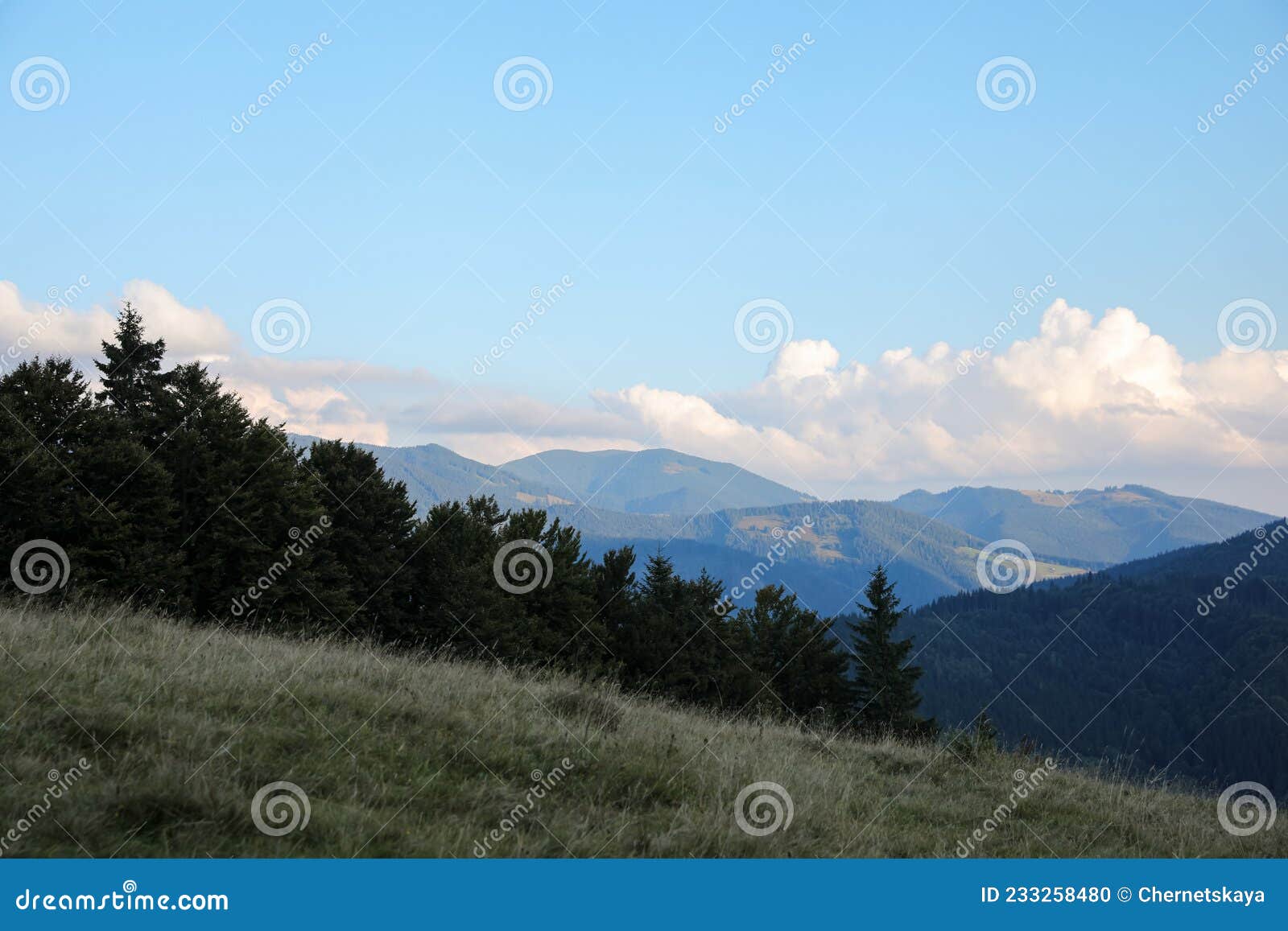 Beautiful View of Forest Clearing in Mountains Stock Photo - Image of ...
