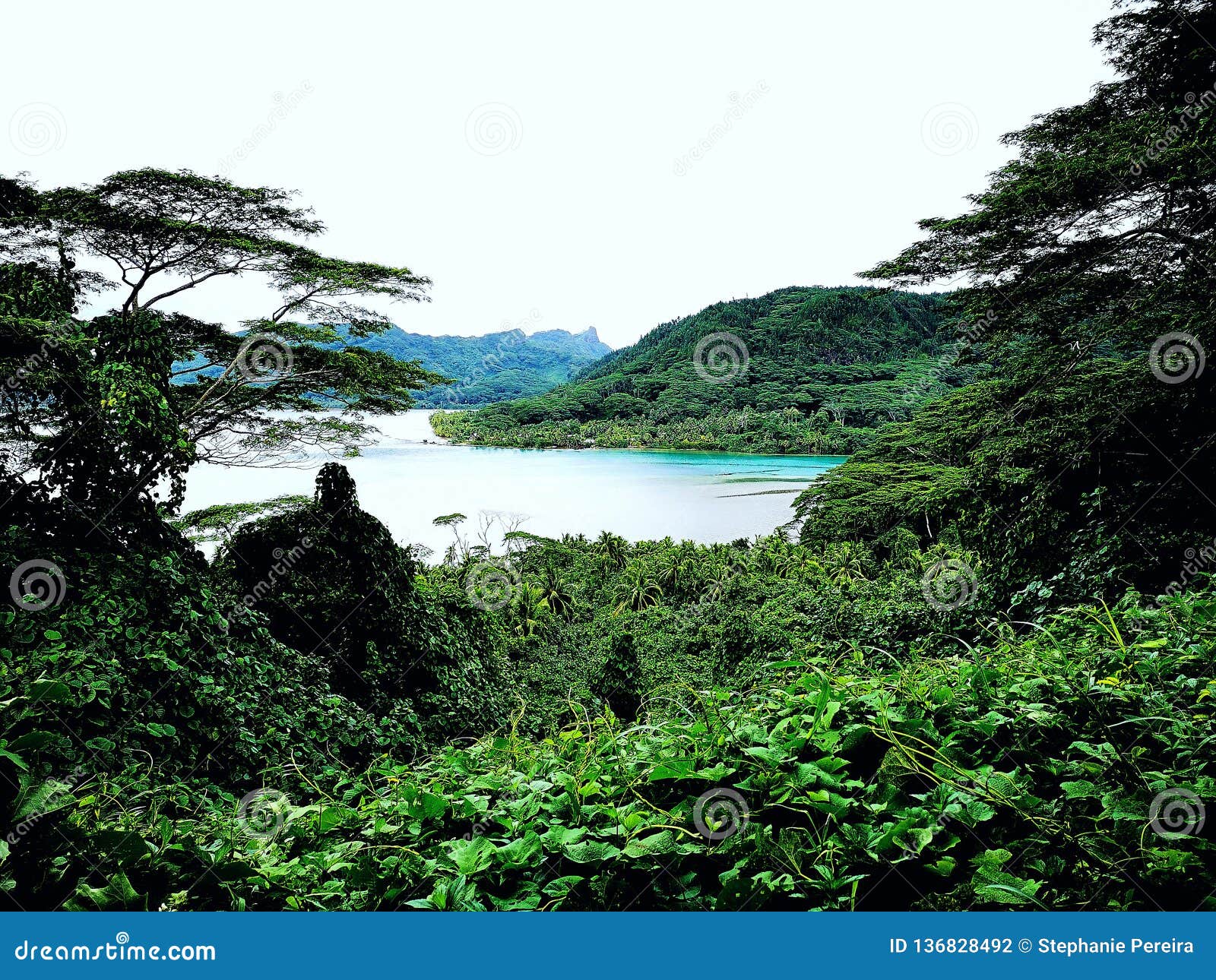 Beautiful View in French Polynesia Stock Photo - Image of travel ...