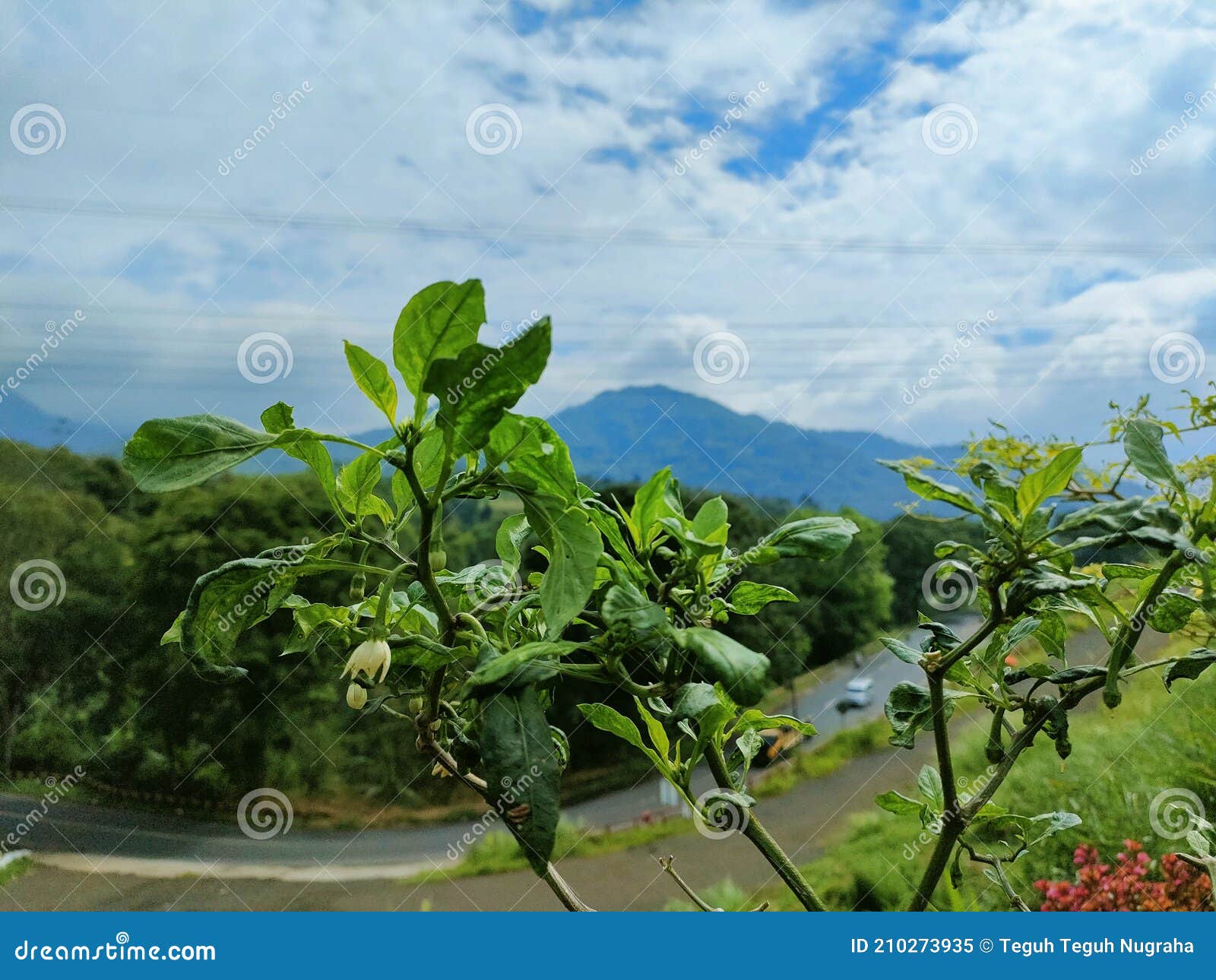 Beautiful view of gentong stock image. Image of satria1402 - 210273935