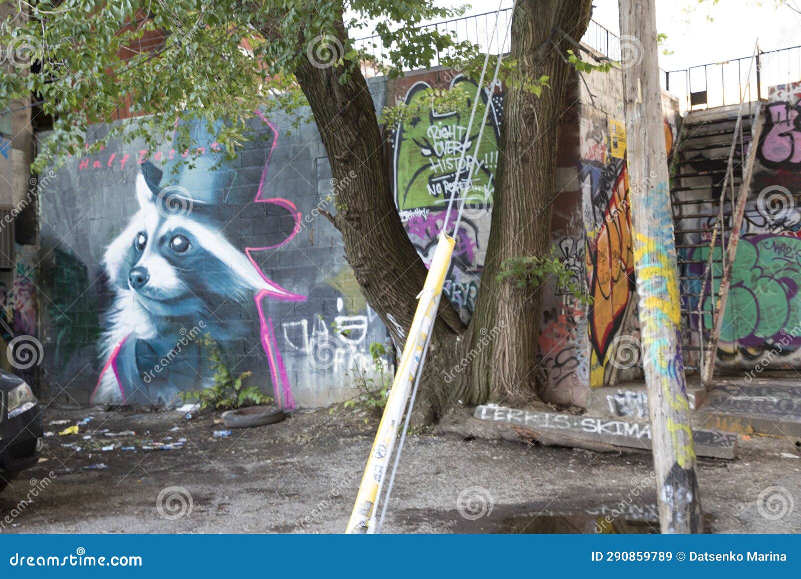 Beautiful View of Graffiti Alley in Downtown Toronto Editorial Stock ...