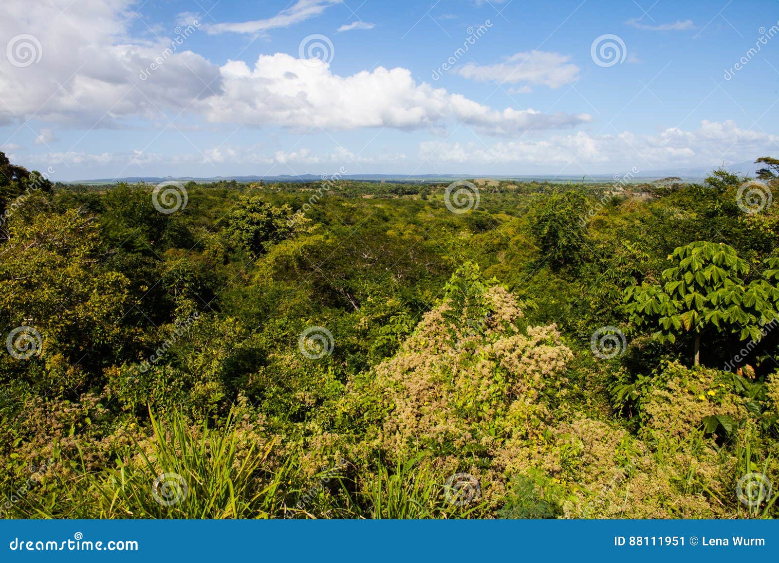 Beautiful View of the Green Cuban Countryside Stock Image - Image of ...