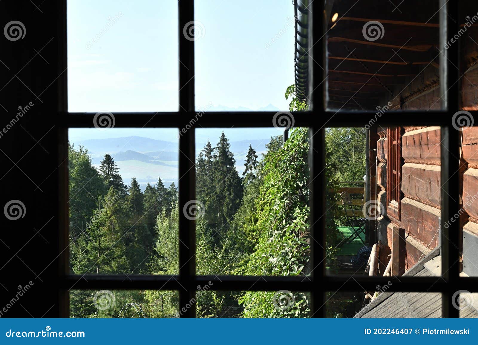 Beautiful View on Green Forest, Blue Sky and Mountains through a Wooden ...