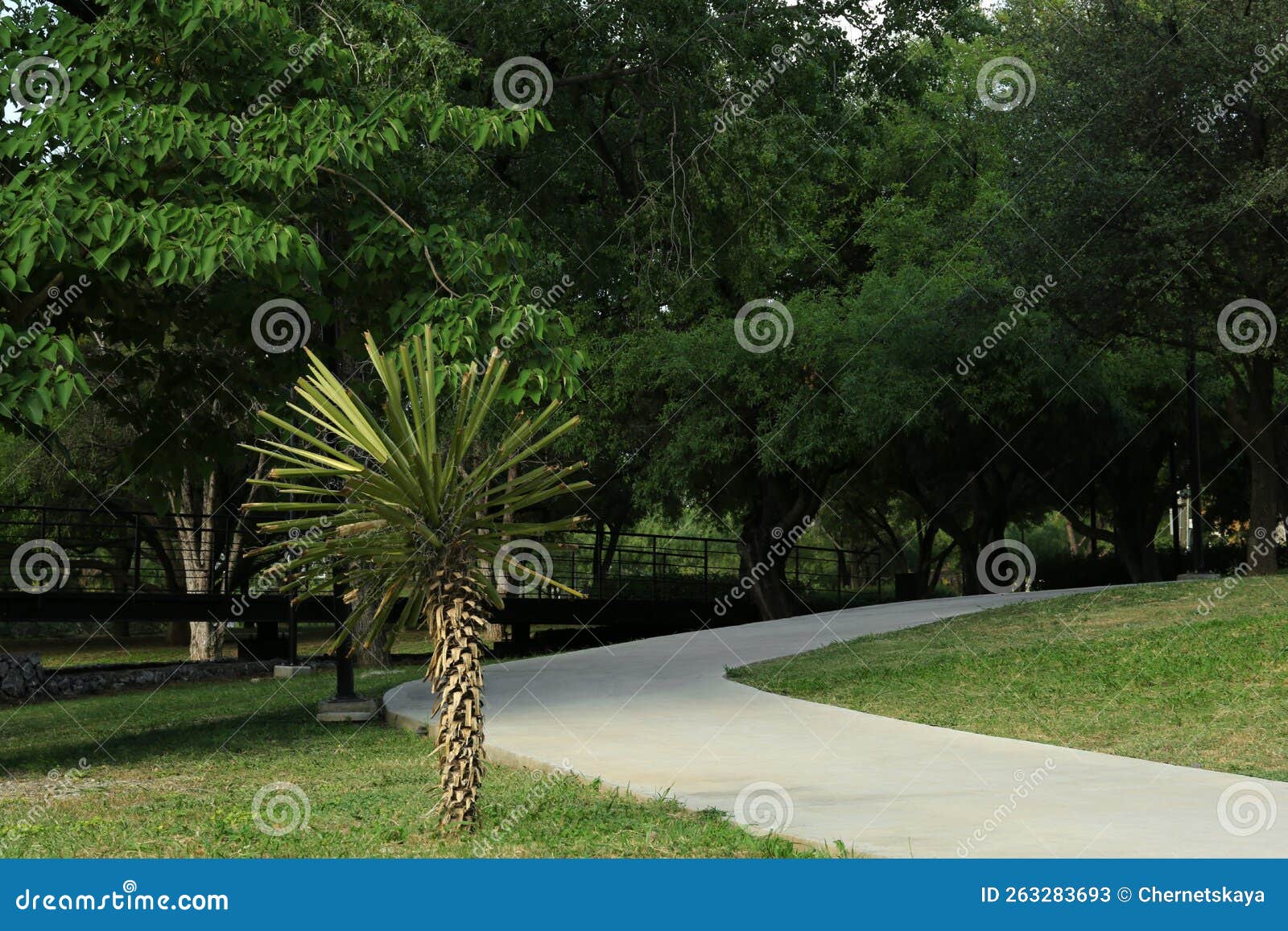 Beautiful View of Green Park with Pathway Stock Image - Image of fresh ...