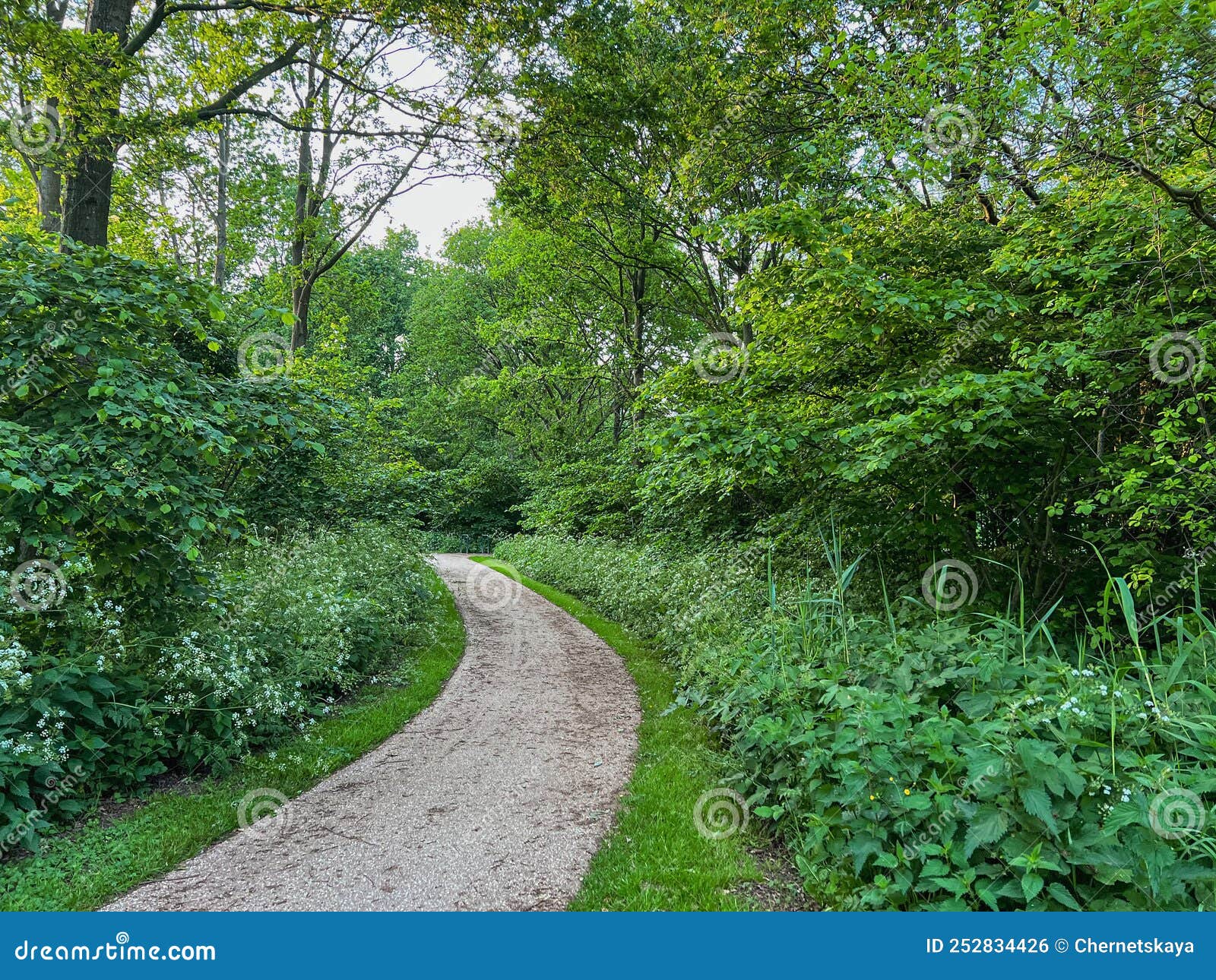 Beautiful View on Green Park with Pathway Stock Photo - Image of park ...