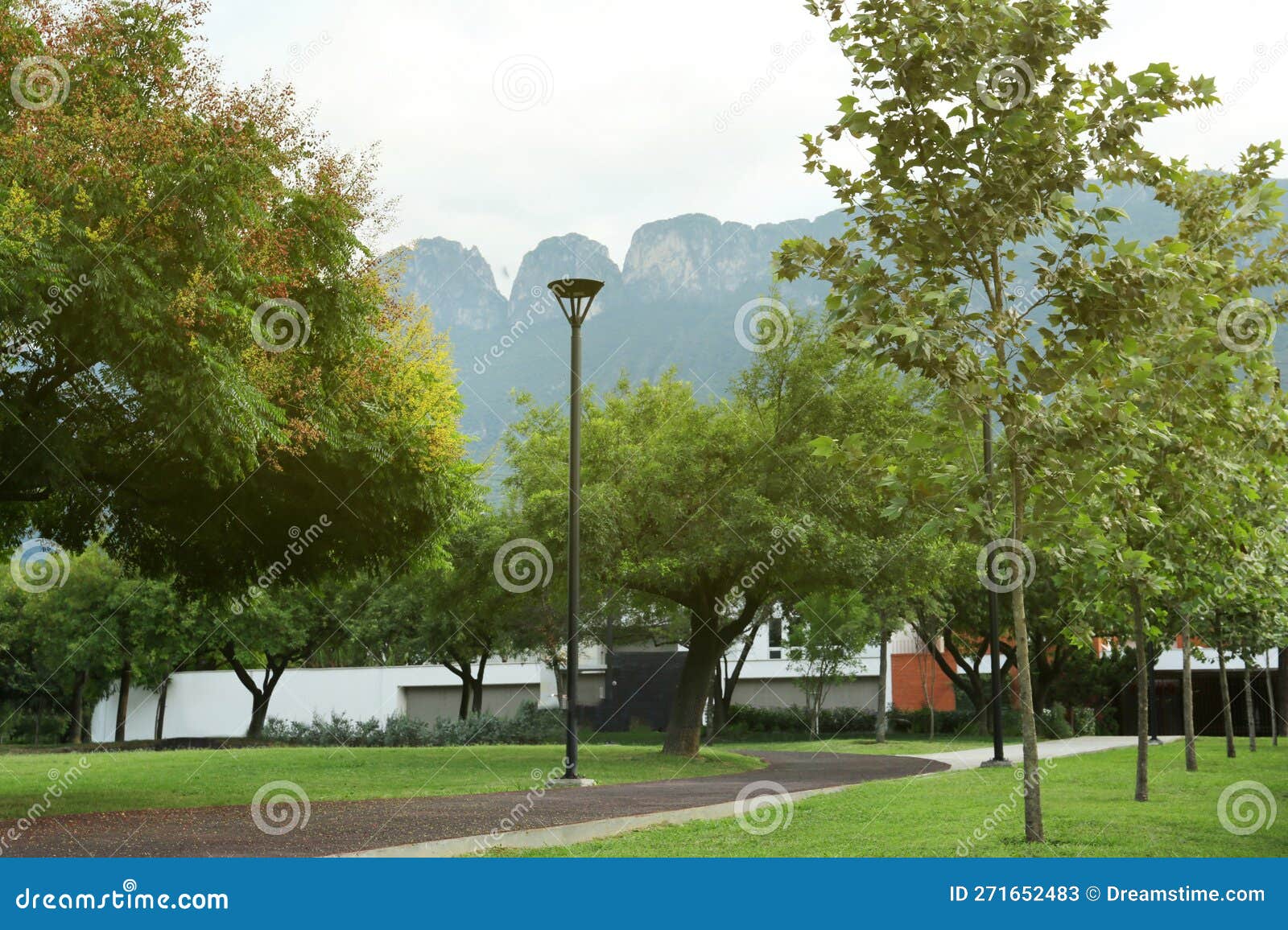 Beautiful View of Green Park with Pathway Stock Image - Image of grass ...