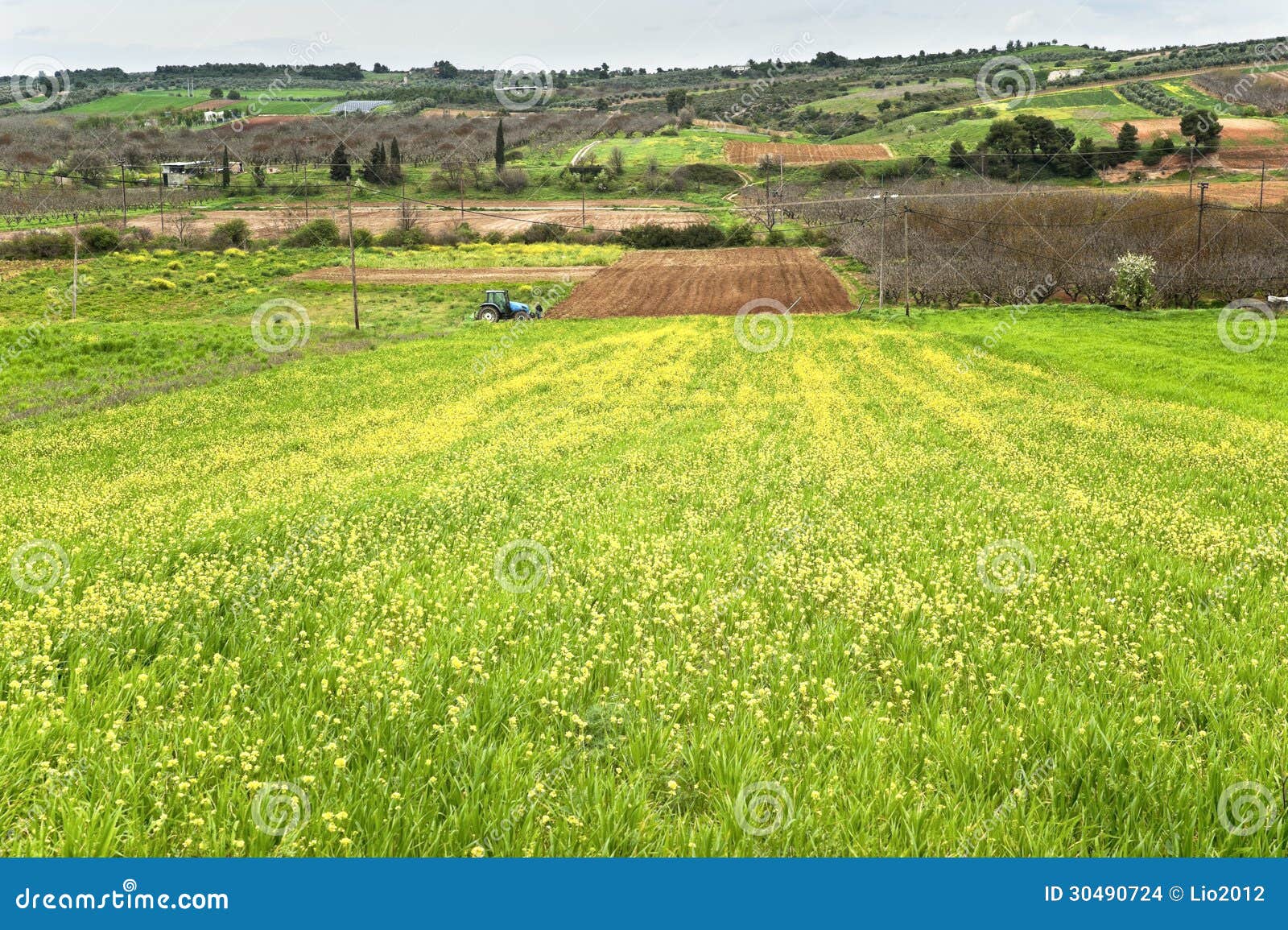 Beautiful View of a Green Plain Stock Photo - Image of scene, freshness ...