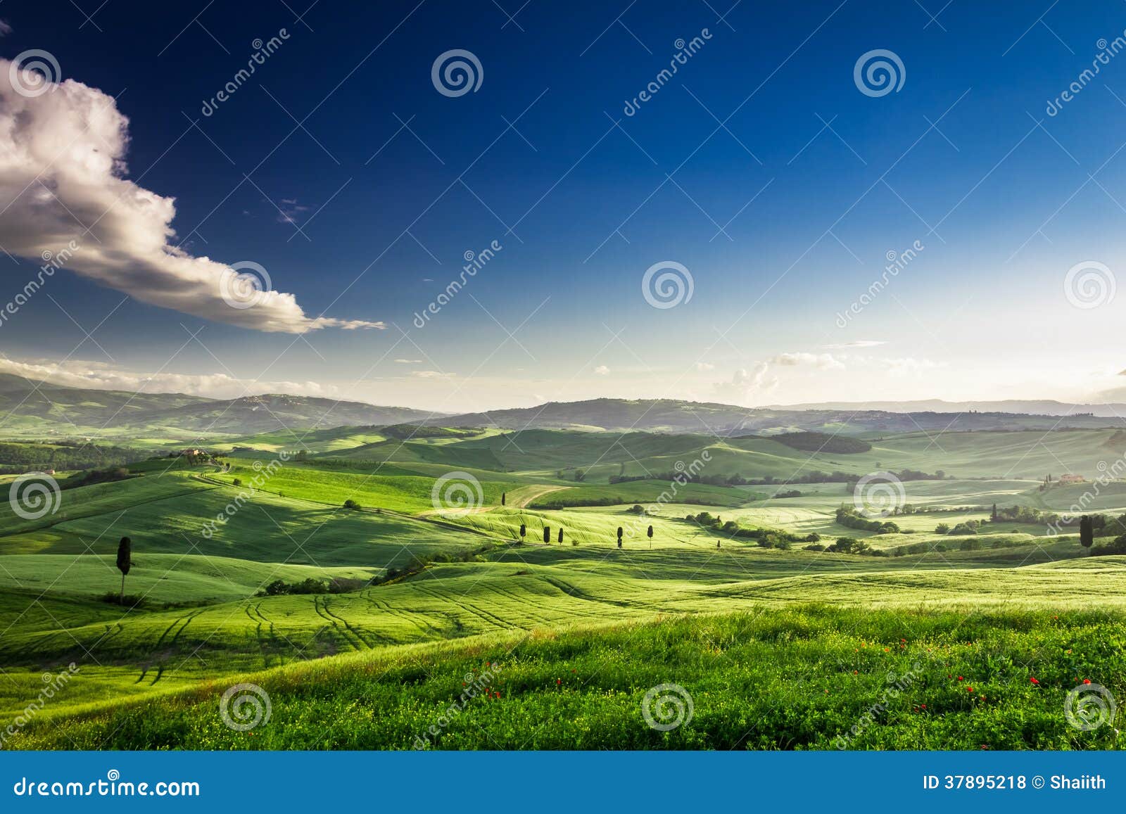 Beautiful View of the Green Valley at Sunset Stock Photo - Image of ...