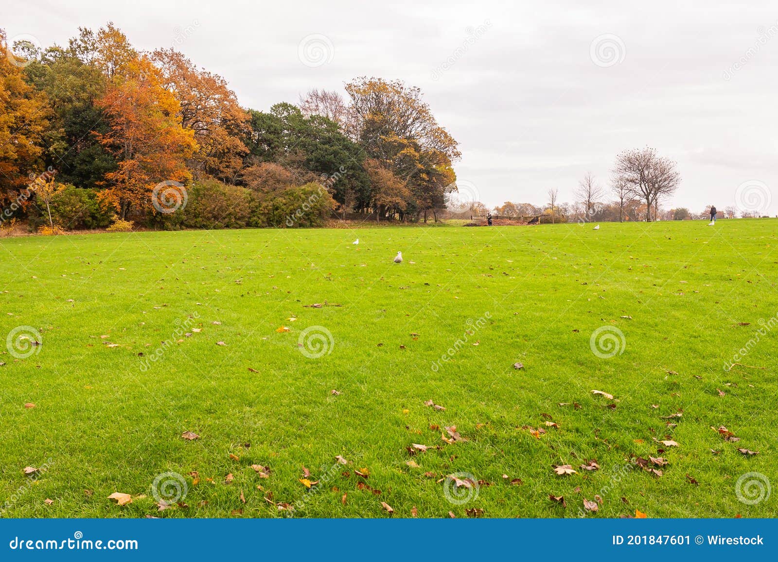 Beautiful View of a Greenfield during Autumn Stock Image - Image of ...