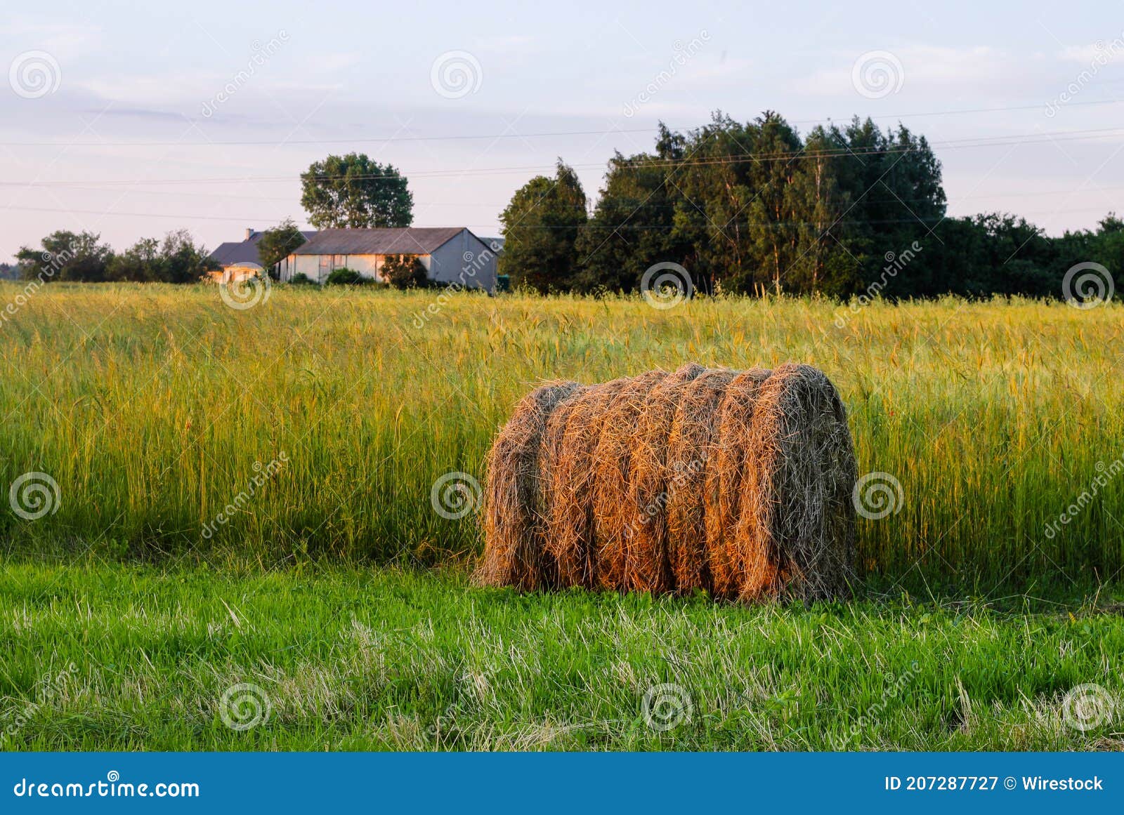 Beautiful View of a Haystack by a Farm with the Trees and Barns in the ...