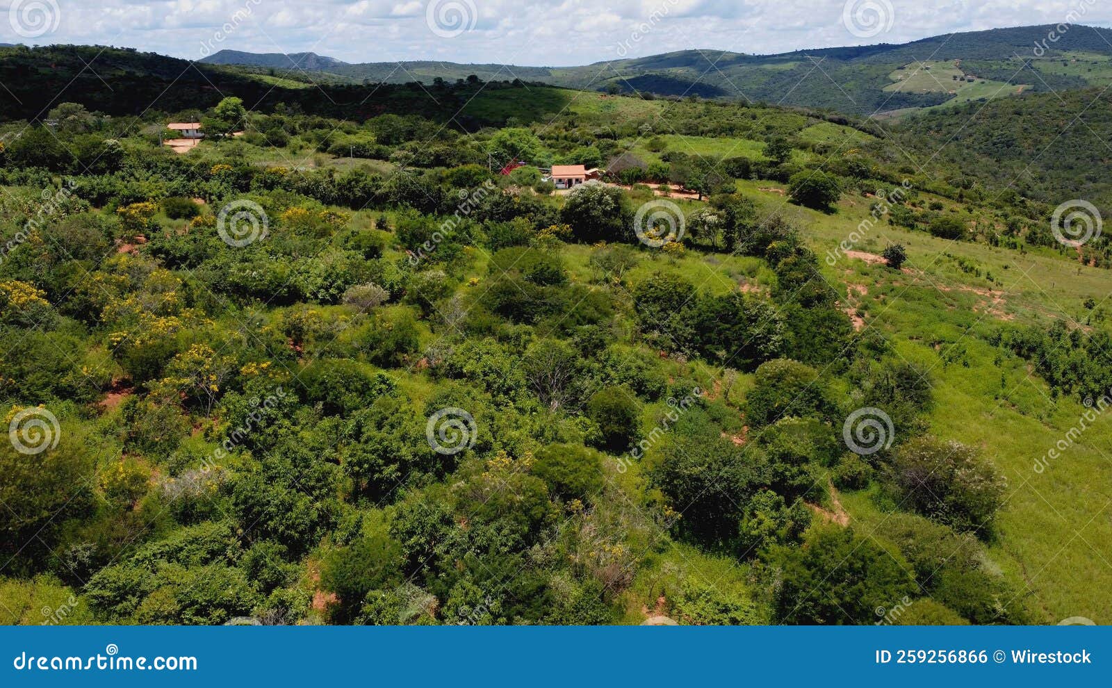 Beautiful View of the Highland with Green Vegetation. Stock Photo ...