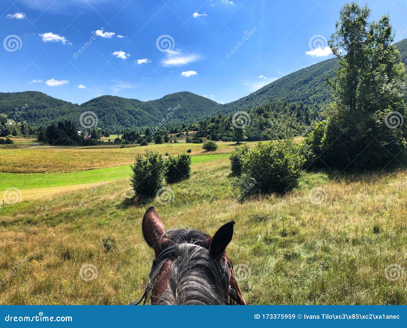 Beautiful View from Horse Mountains Stock Image - Image of horse, view ...